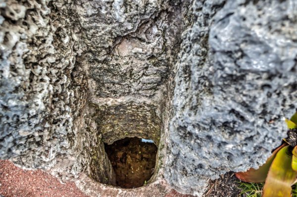 Coral Castle - An Unsolved Mystery in the Sunshine State - Gate to ...