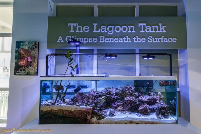 Manatee Lagoon - An FPL Eco-Discovery Center in West Palm Beach